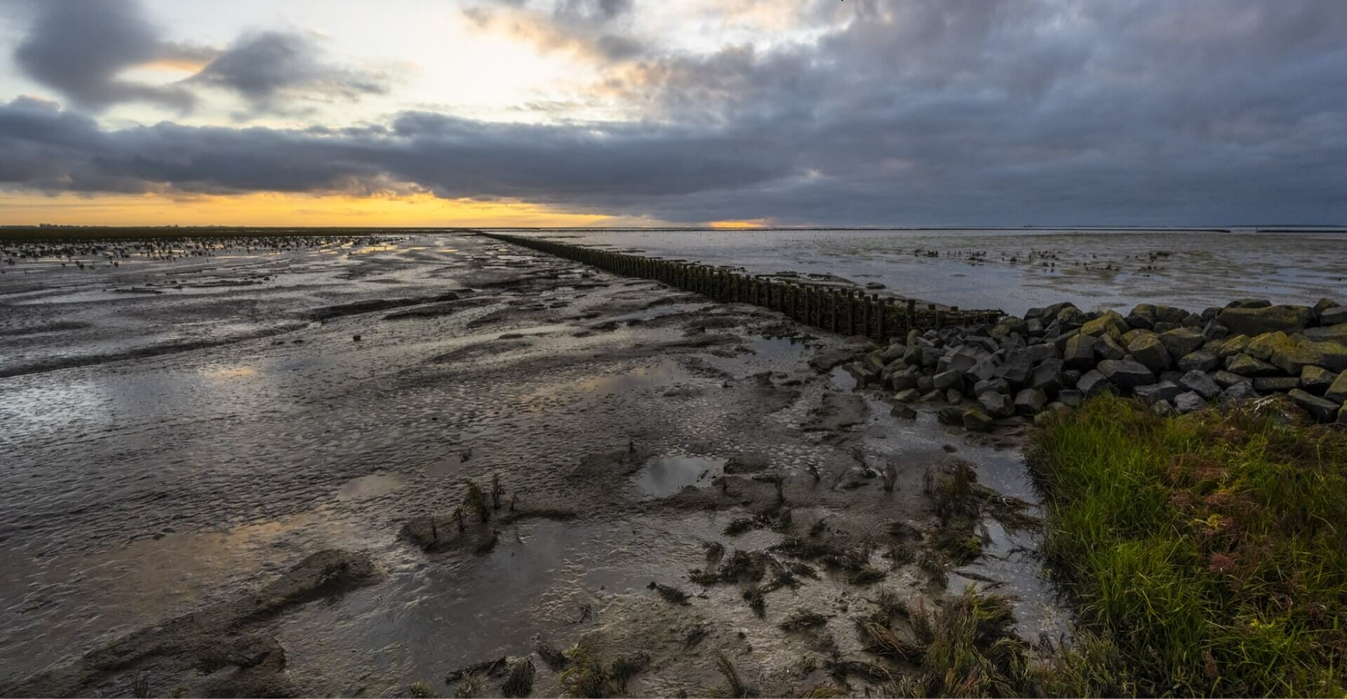 Kennismaken - Waddenvereniging
